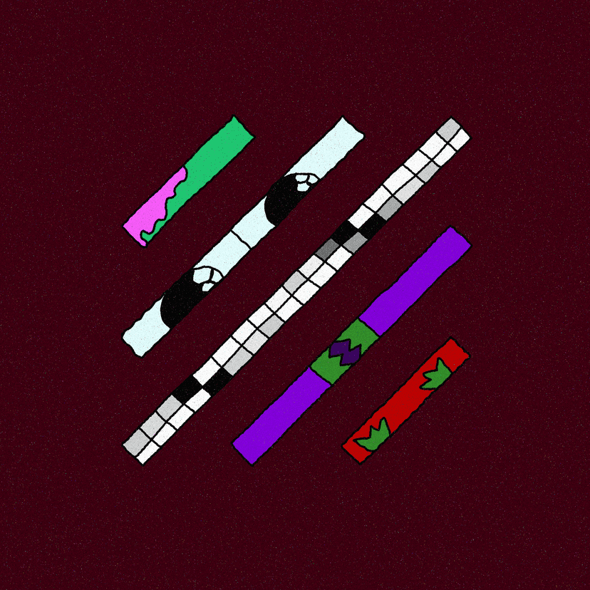 Decals Collections - Deca