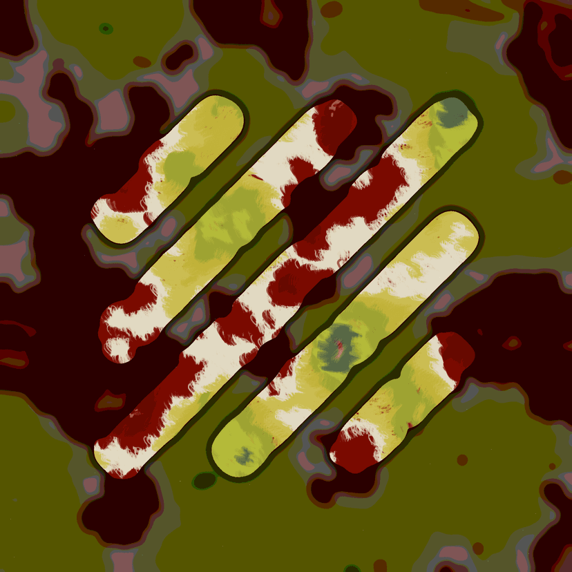 Decals Collections - Deca